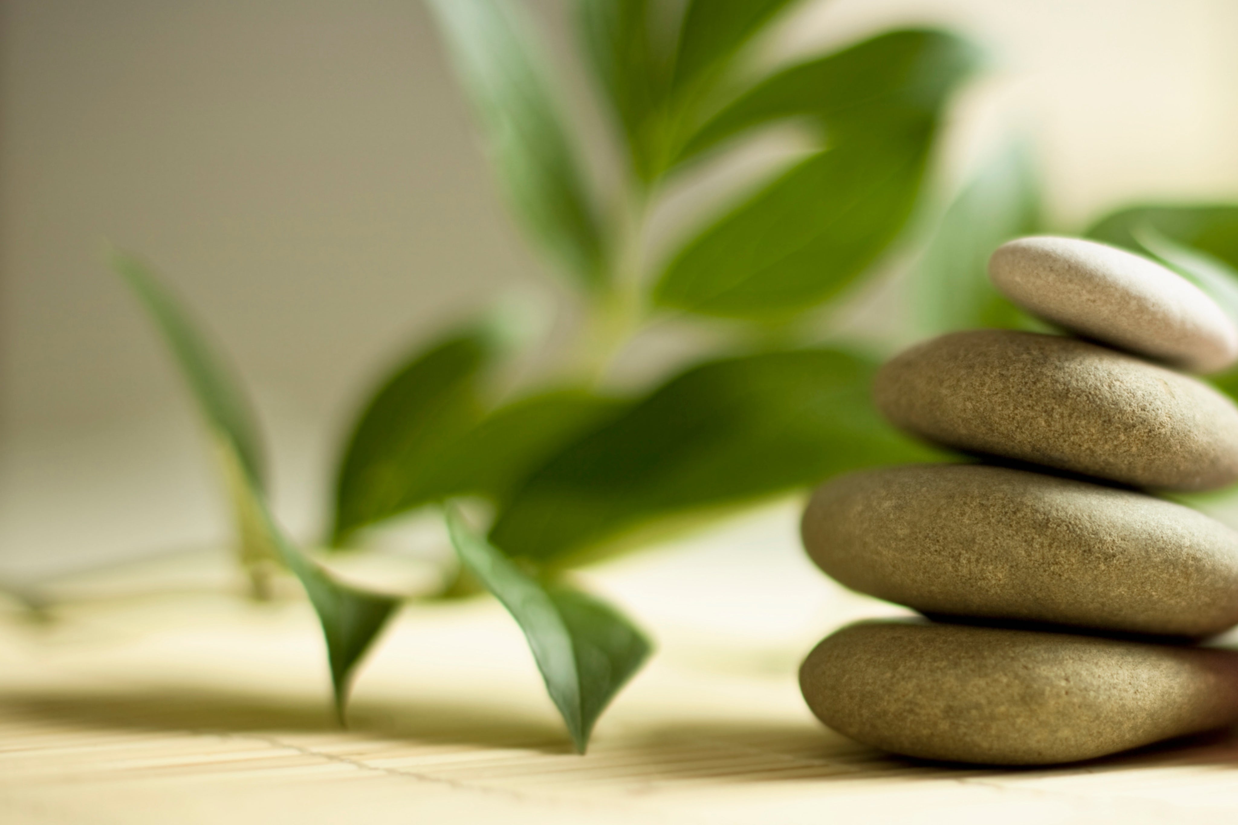 Earthy + Woody Scented Reed Diffusers – Green Koala