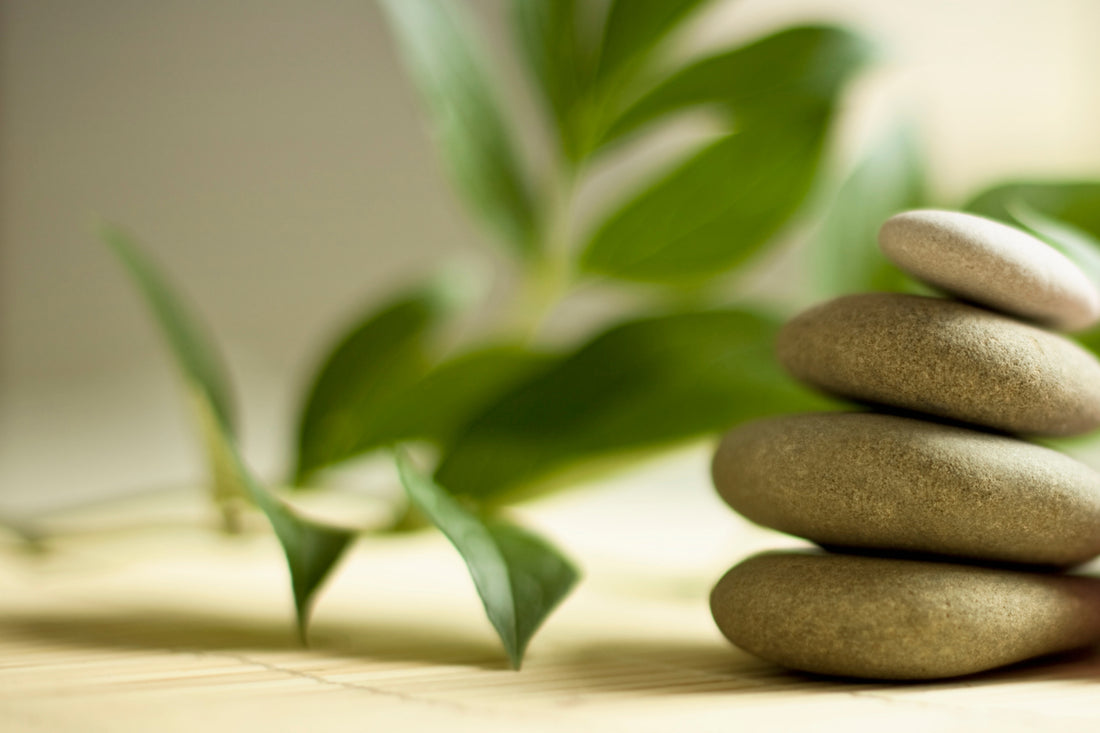 Non-Toxic Reed Diffuser & Refill Oils | Green Koala®